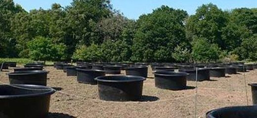 Mesocosms | AQUACOSM & AQUACOSM-plus facilities