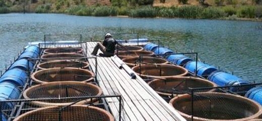 AQUACOSM | EU network of mesocosm facilities and joint research initiatives