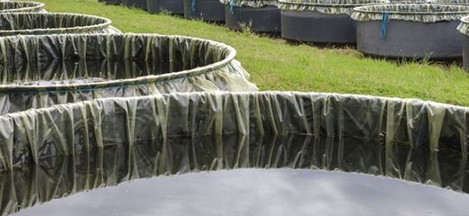 Mesocosms | AQUACOSM & AQUACOSM-plus facilities