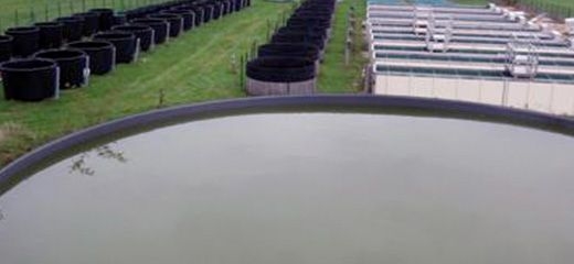 AQUACOSM | EU network of mesocosm facilities and joint research initiatives